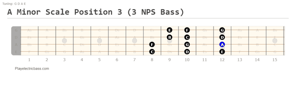 A Minor Scale Bass Positions and Tabs: 7 Shapes Used by Pros ...